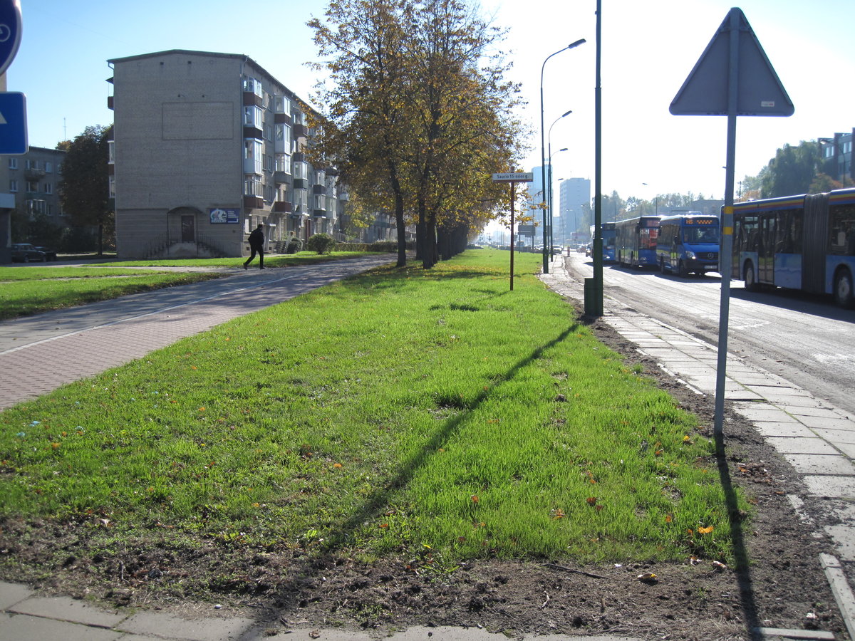 Atnaujintoje teritorijoje palei Taikos prospektą – nauja gyvenimo kokybė